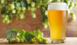 The Best Low Carb Beers Under 100 Calories